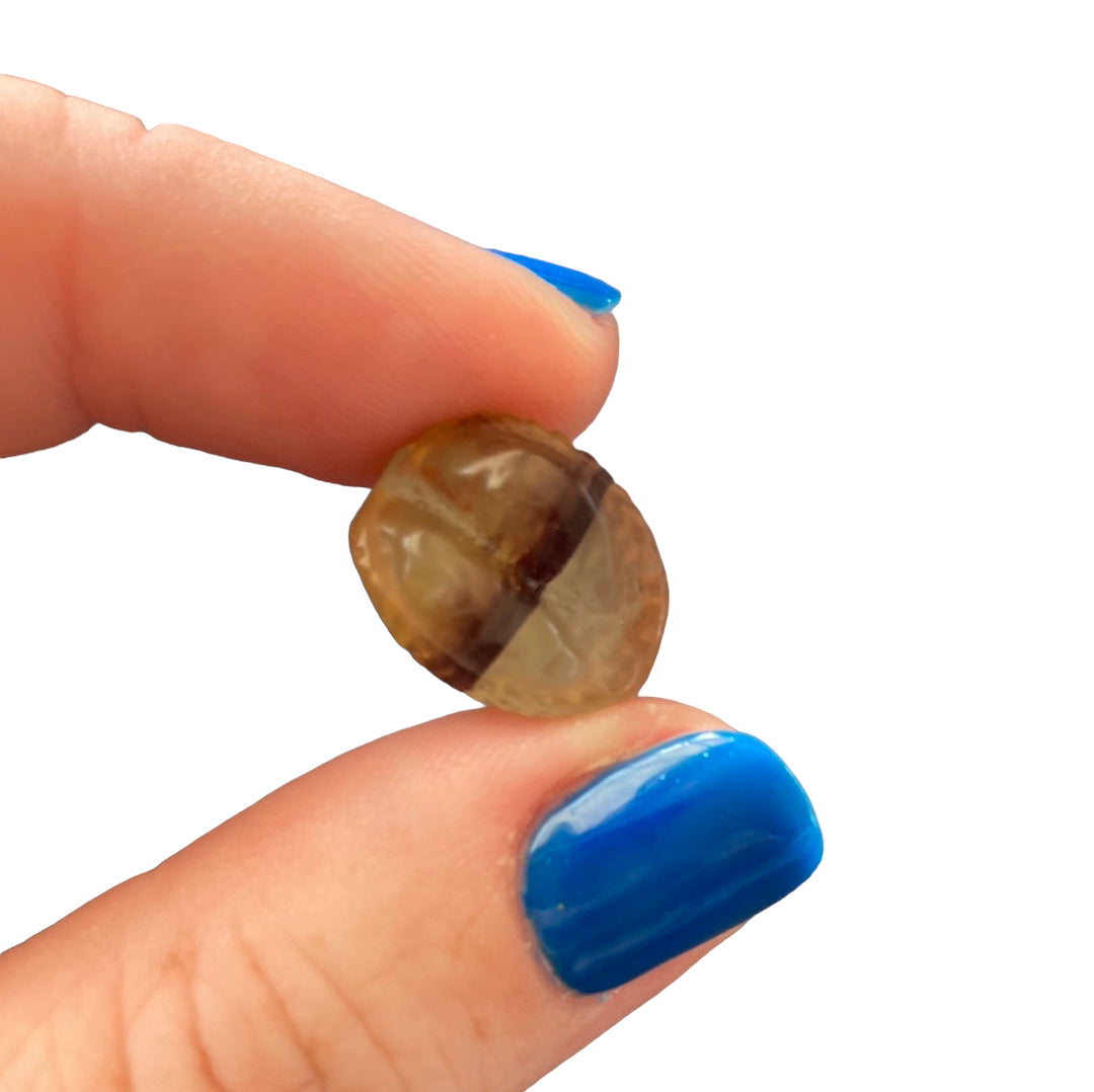 Fluorite Coffee Bean – The Crystal Basket